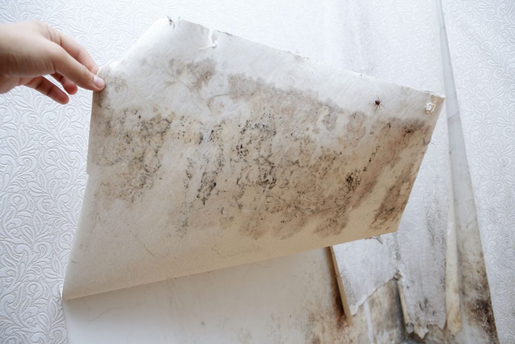 Indoor Air Quality After Flood Damage: What Property Owners Need to ...